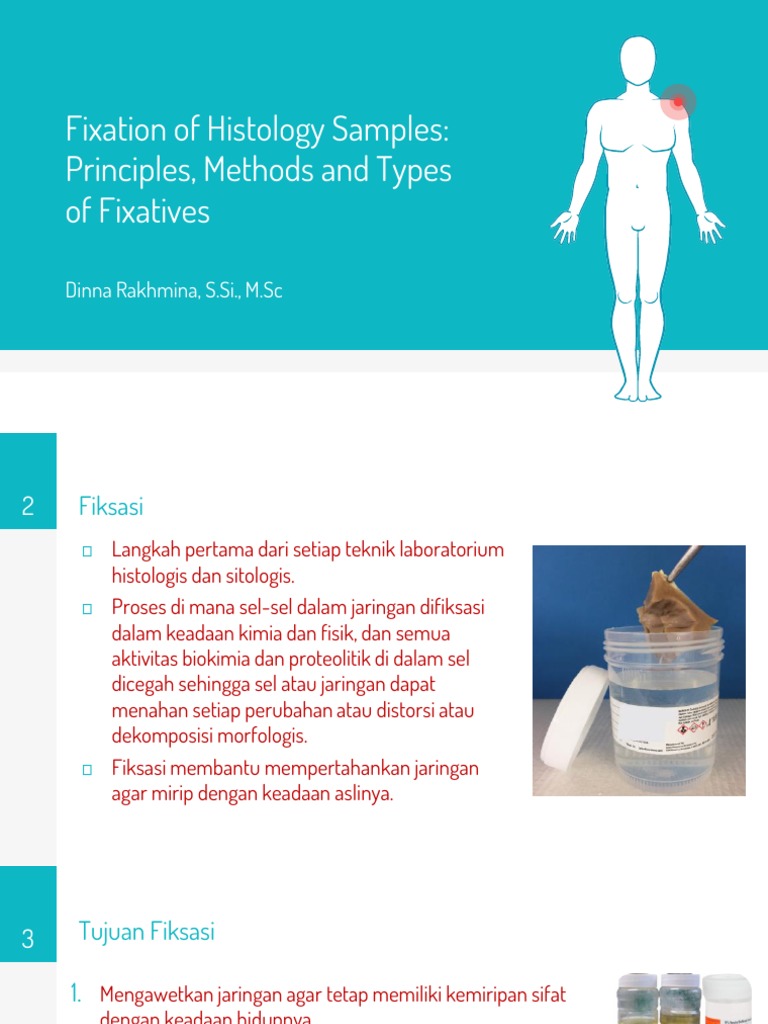 Fixation of Histology Samples | PDF