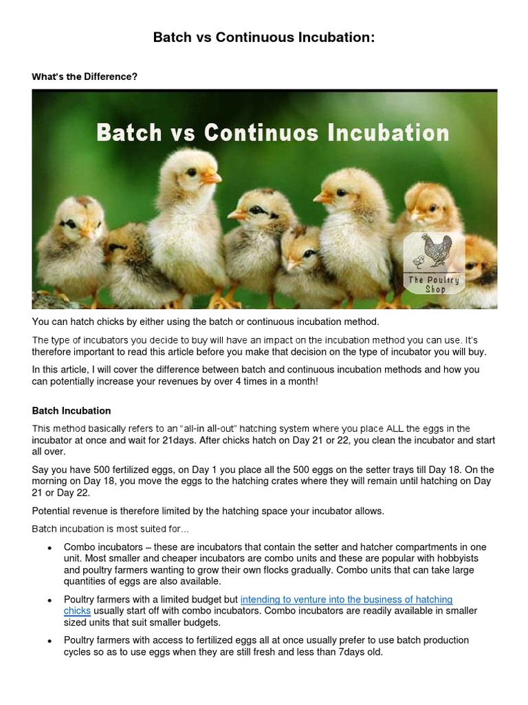 Batch Vs Continuous Incubation | PDF | Egg | Poultry Farming