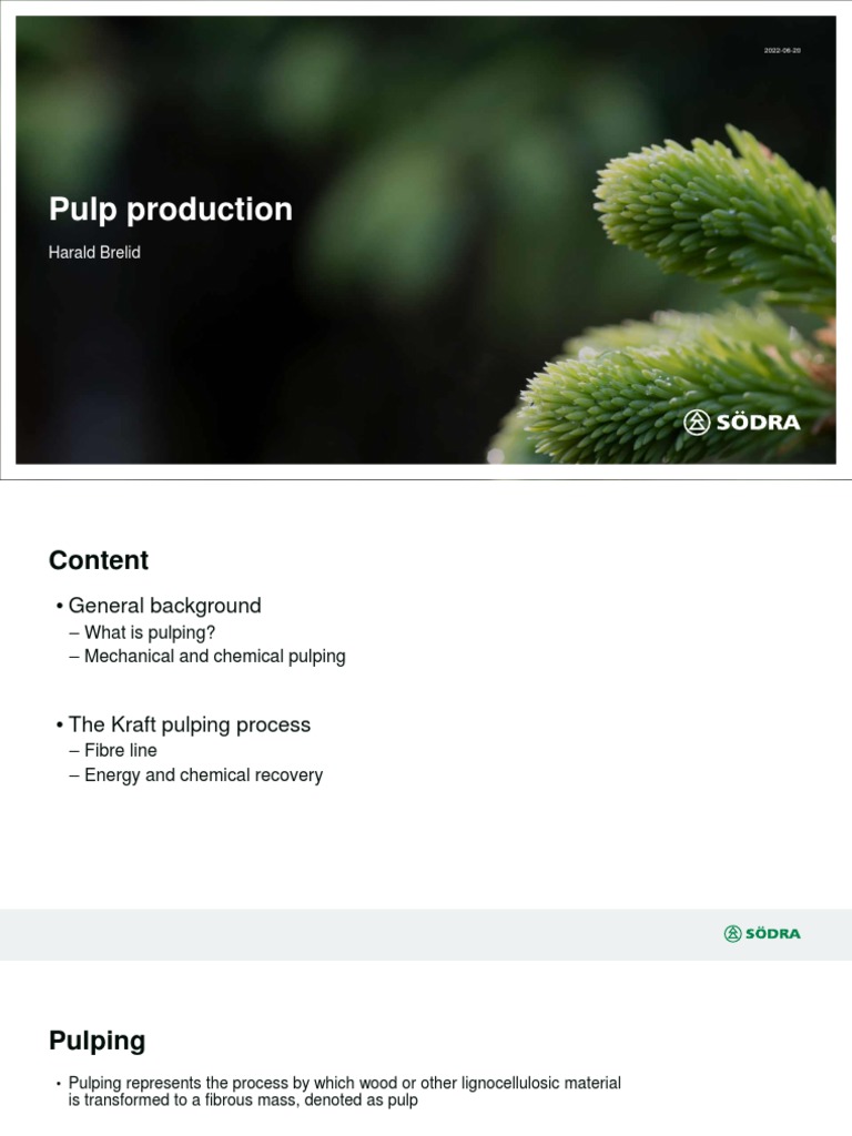Pulp Production Sodra Pulp Fibre Education 2022 | PDF