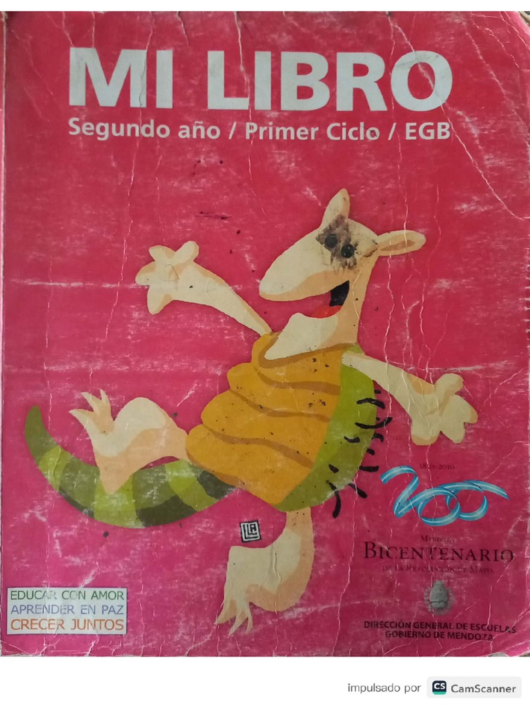 MI LIBRO Segundo Año - Primer Ciclo - EGB. DGE | PDF