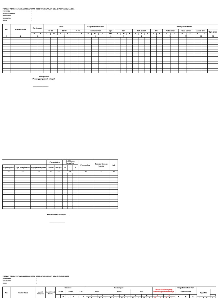 Format Pencatatan Dan Pelaporan Prog. Kes. Lansia | PDF