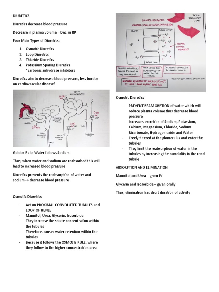 DIURETICS | PDF | Kidney | Drugs