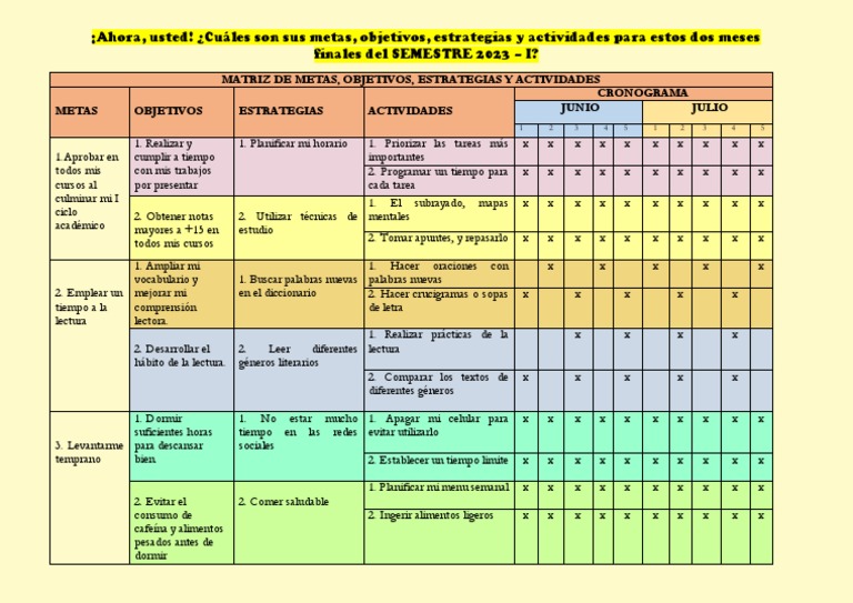 Matriz de Metas, Objetivos, Estrategias, Actividades y Cronograma ...