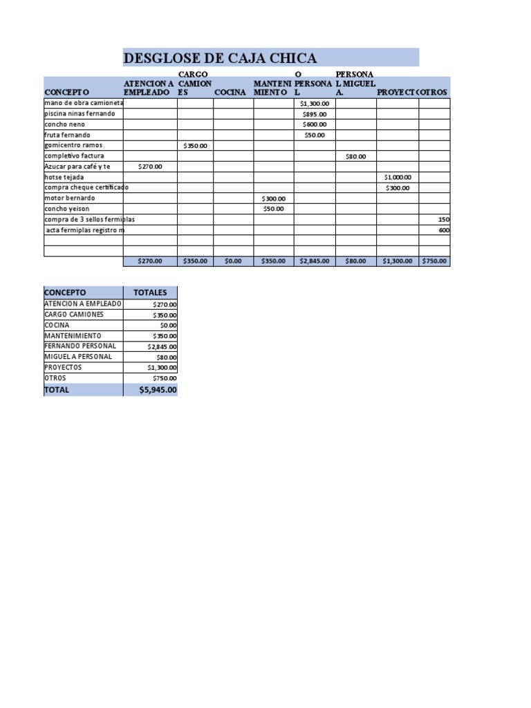 Modelo Desglose Control Caja Chica | PDF