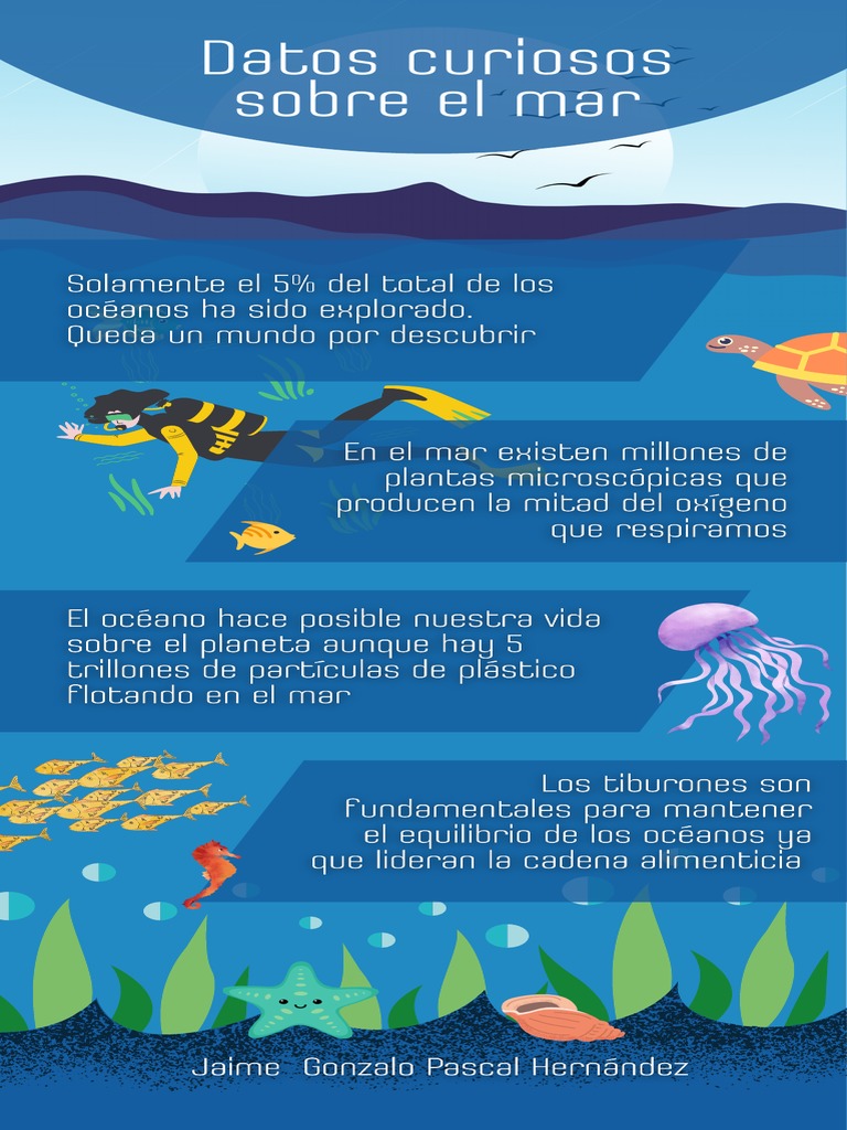 Infografía Datos Sobre El Mar Ilustrada Azul | PDF
