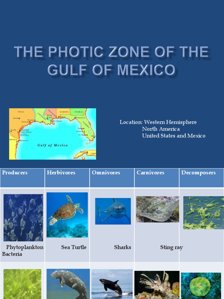 Photic Zone Brittany Pruitt | PDF | Nitrogen | Nitrate