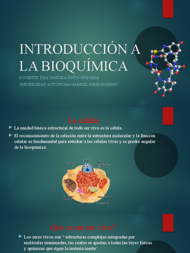 Bioquimica Introduccion | PDF