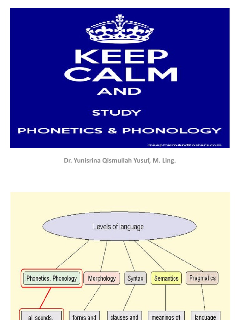 YQY - English PP Course Presentation | PDF | Phonetics | Phonology