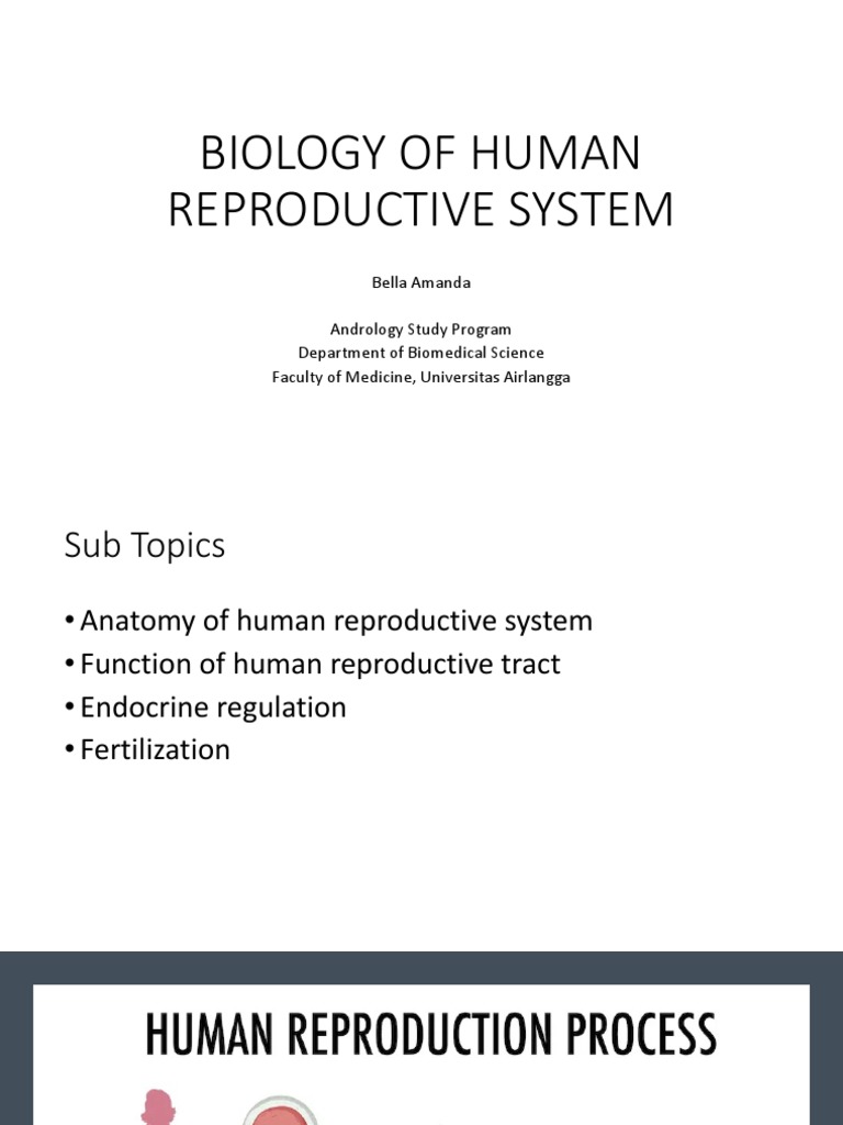 Biology of Human Reproductive System | PDF | Luteinizing Hormone | Vagina