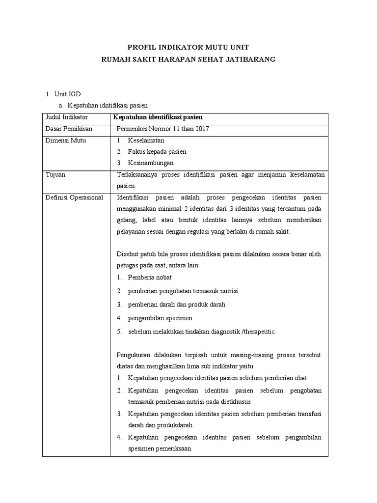 Profil Indikator Mutu Unit | PDF
