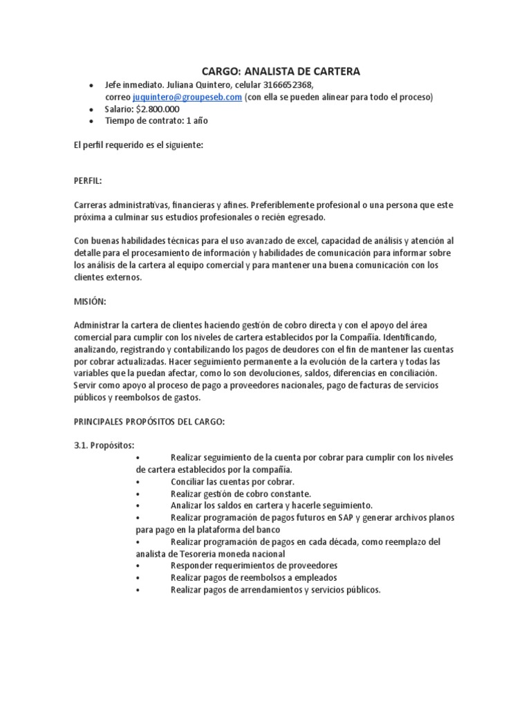 Analista de Cartera | PDF