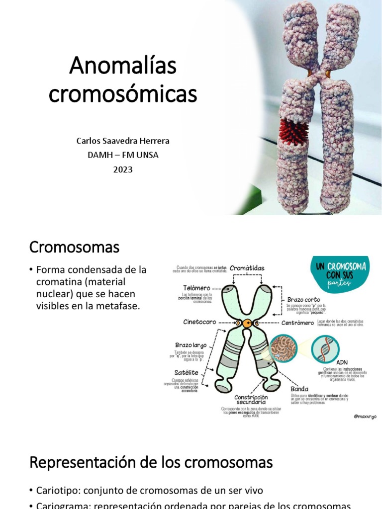 Anomalías Cromosómicas Numéricas y Estructurales 2023 | PDF | Genética | Nucleo celular