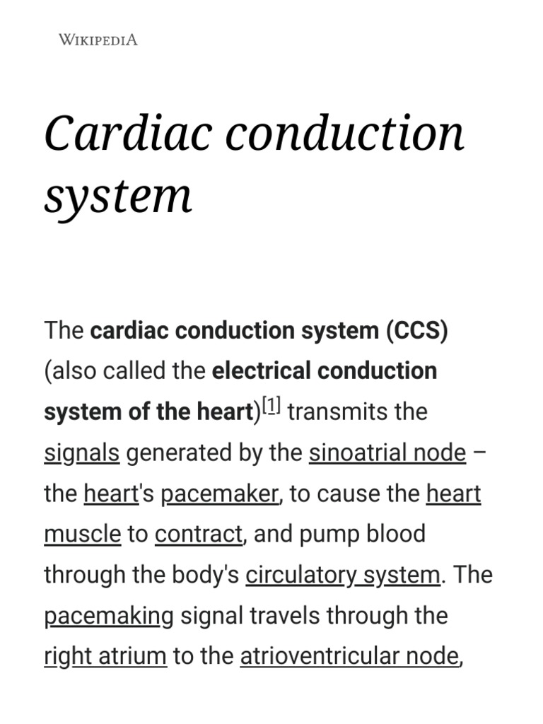 Cardiac Conduction System - Wikipedia | PDF | Heart | Electrophysiology