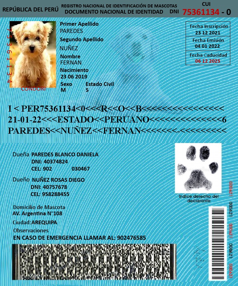 Dni Perros | PDF