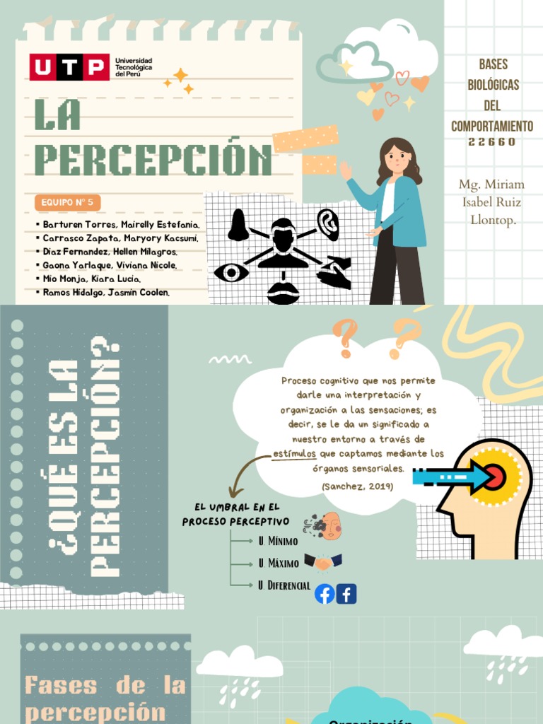 Percepción | PDF | Percepción | Procesos mentales