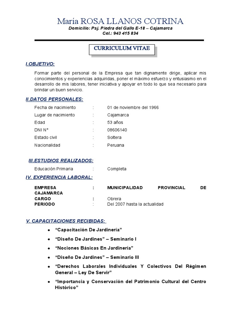 CV Modificable | PDF | Crecimiento personal y profesional