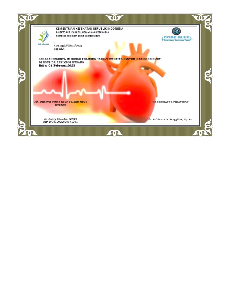 Sertifikat Nakes (Ews Dan Code Blue) | PDF