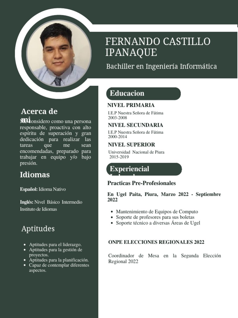 CV Fernan | PDF | Ciencias de la Computación | Tecnologías de la información