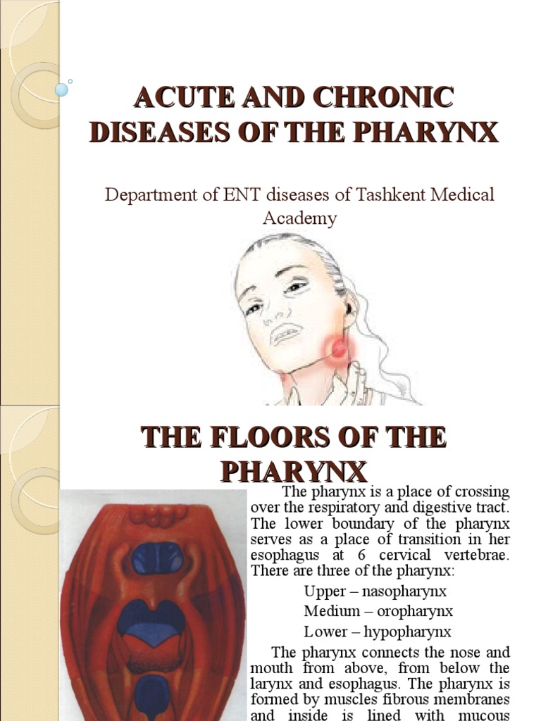 Pharynx Diseases: Acute and Chronic Overview | PDF | Anatomy | Human ...