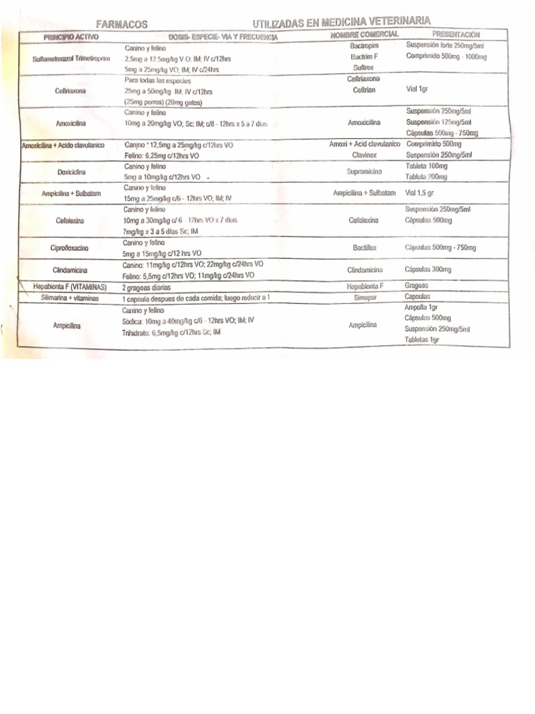 Vademecum ACTUALIZADO | PDF