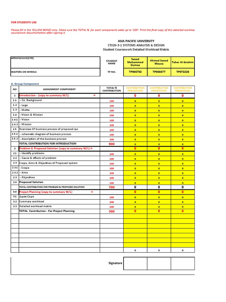 1.1 Detailed Workload Matrix | PDF | Systems Engineering | Information Technology Management