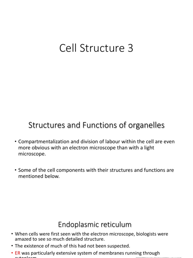 Cell Structure 3 | PDF | Endoplasmic Reticulum | Lysosome