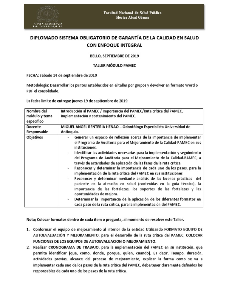 Taller OK-Ruta Critica PAMEC | PDF | Seguridad del paciente | Medicina