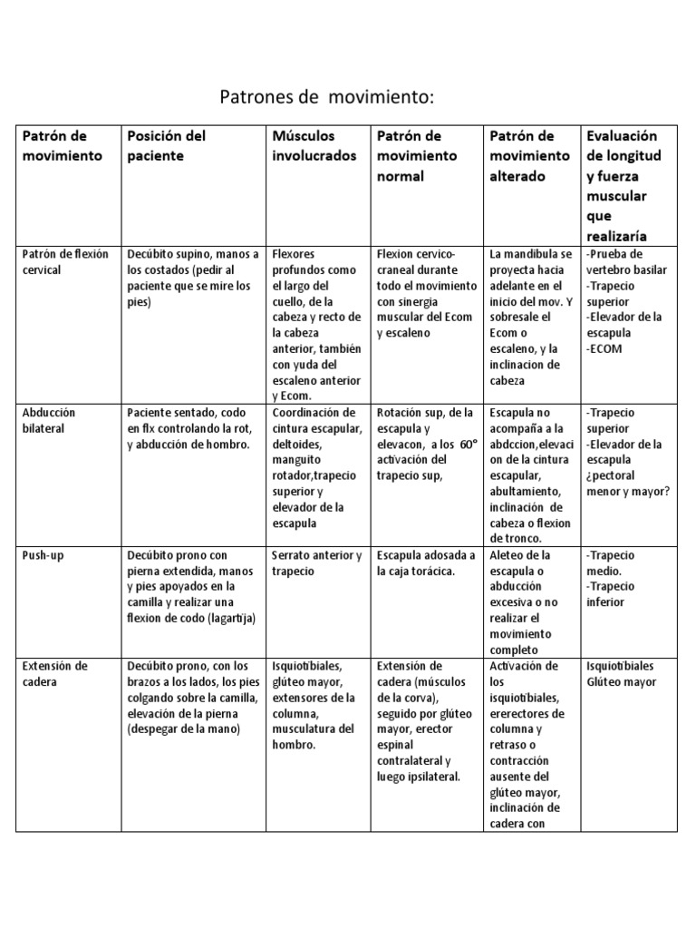 Eva Test PRUEBAS | PDF | Hombro | Sistema esquelético