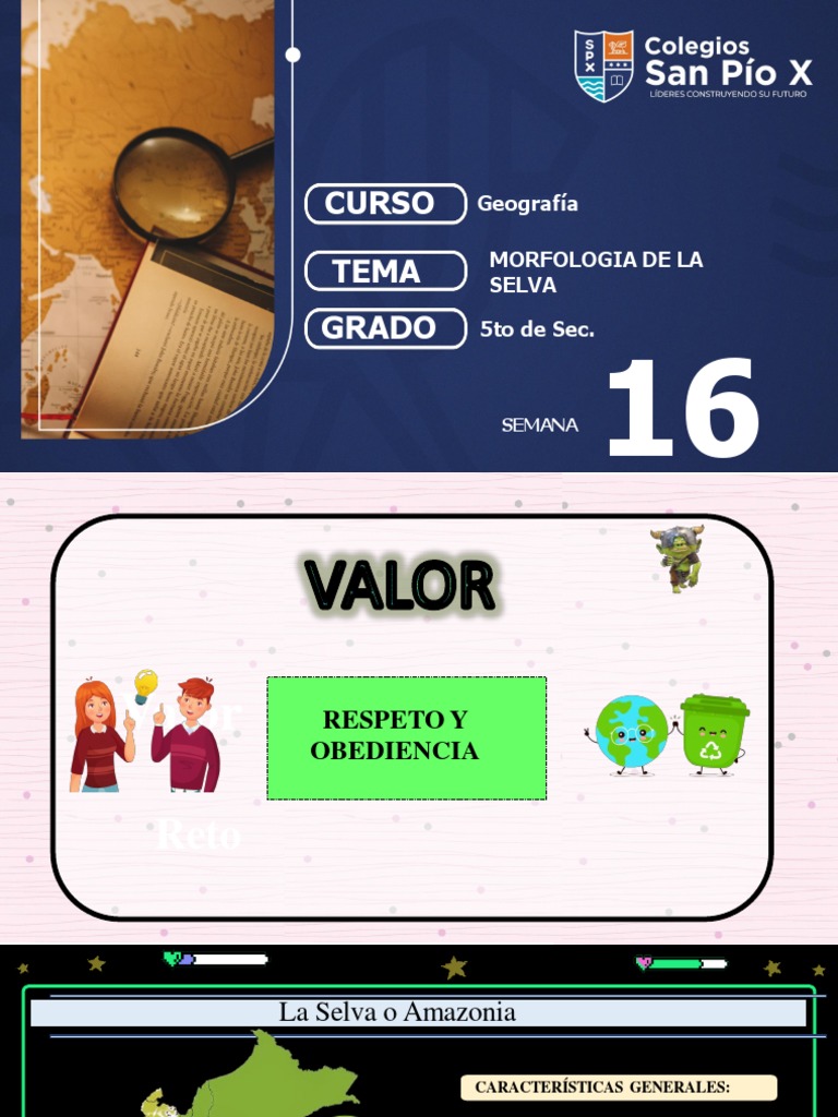 Geo 5 Sec-Semana 16 - Morfologia de La Selva | PDF | Perú | Geografía ...