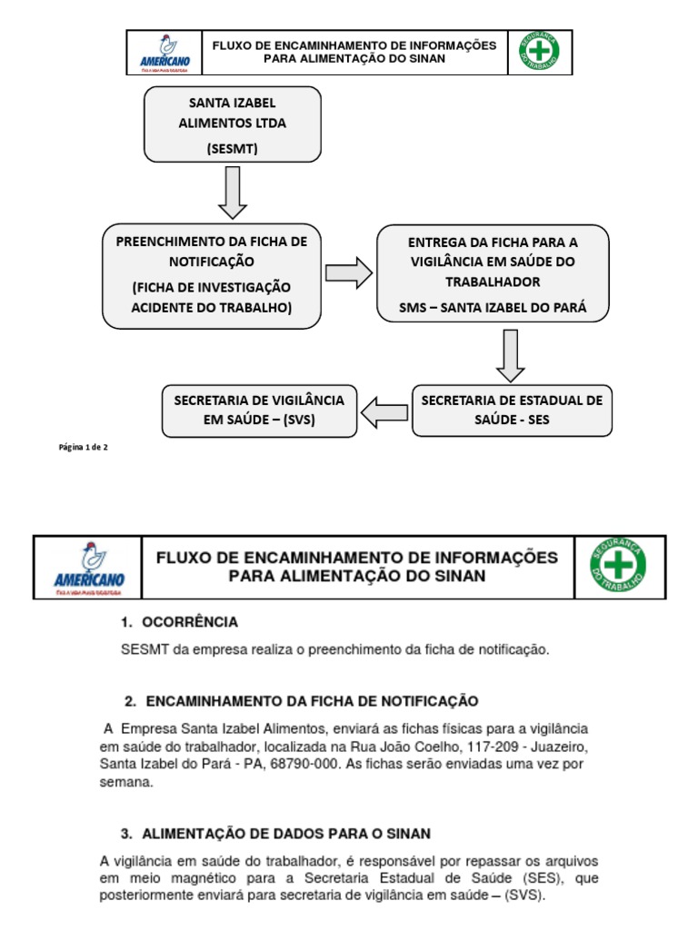 Fluxo de Encaminhamento de Informações Para Alimentação Do Sinan. | PDF