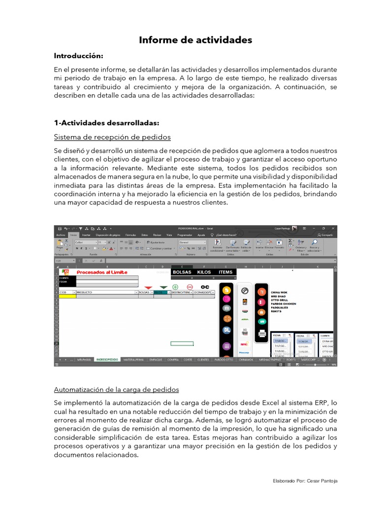 Informe de Actividades | PDF | Business | Planificación de recursos ...