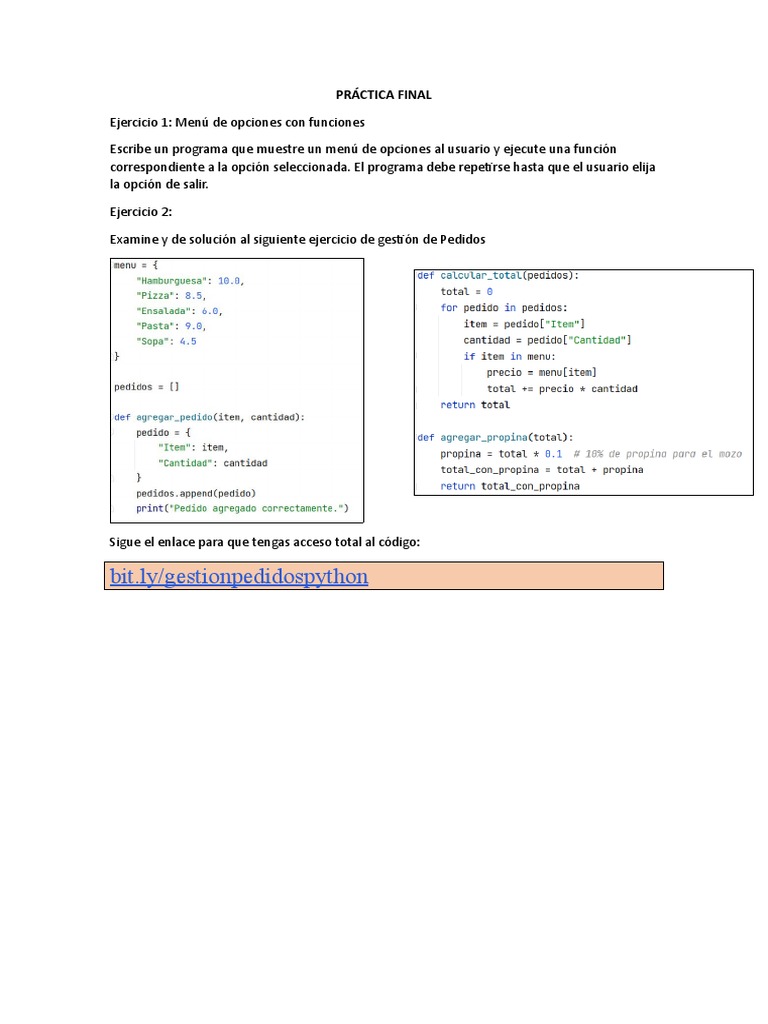 Práctica Final Python | PDF | Informática