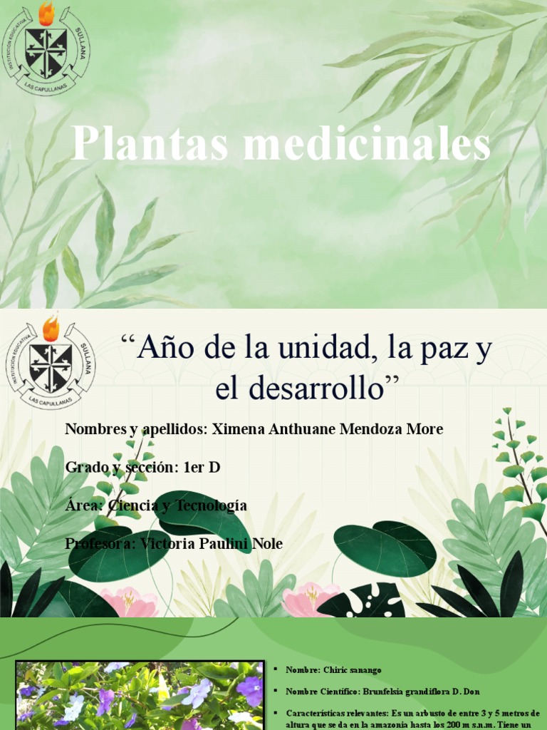 Album Medicinal | PDF | Botánica | Plantas