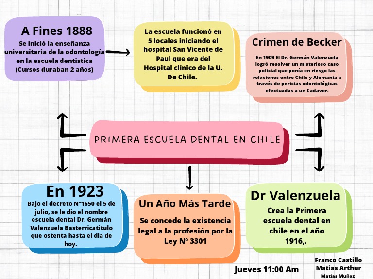 Mapa Conceptual Anatomia Dental | PDF