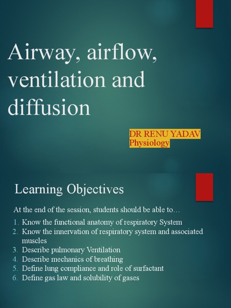 1.airway, Airflow, Ventilation and Diffusion | PDF | Lung | Respiratory Tract