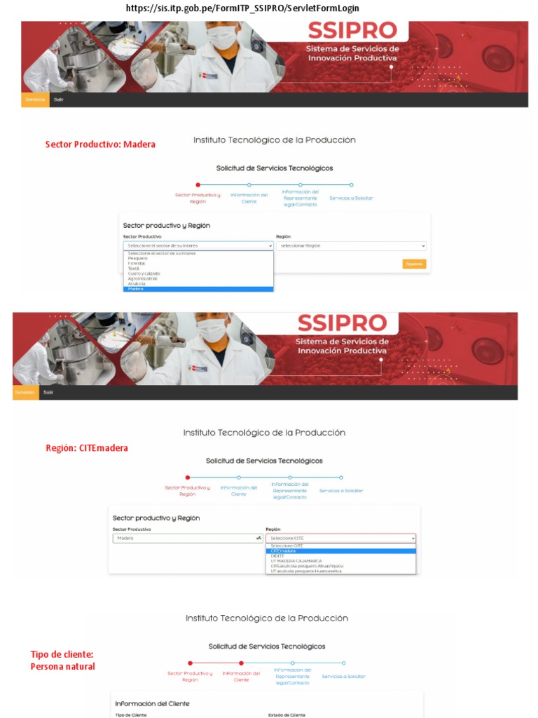 Guía de Registro para Servicio CITEmadera | PDF