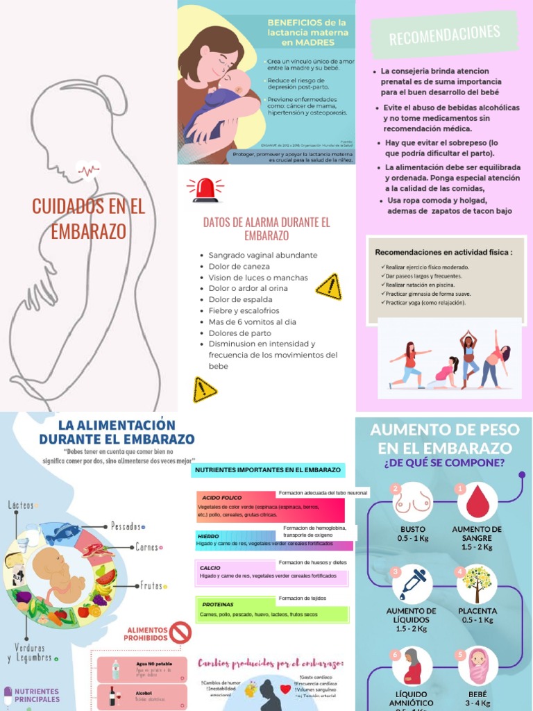 Folleto Embarazo | PDF