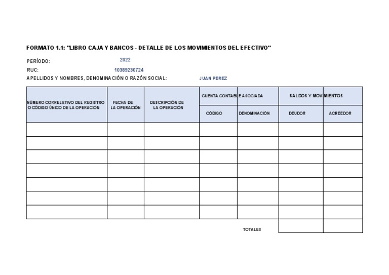 Formato1.1 LIBRO CAJA Y BANCO | PDF