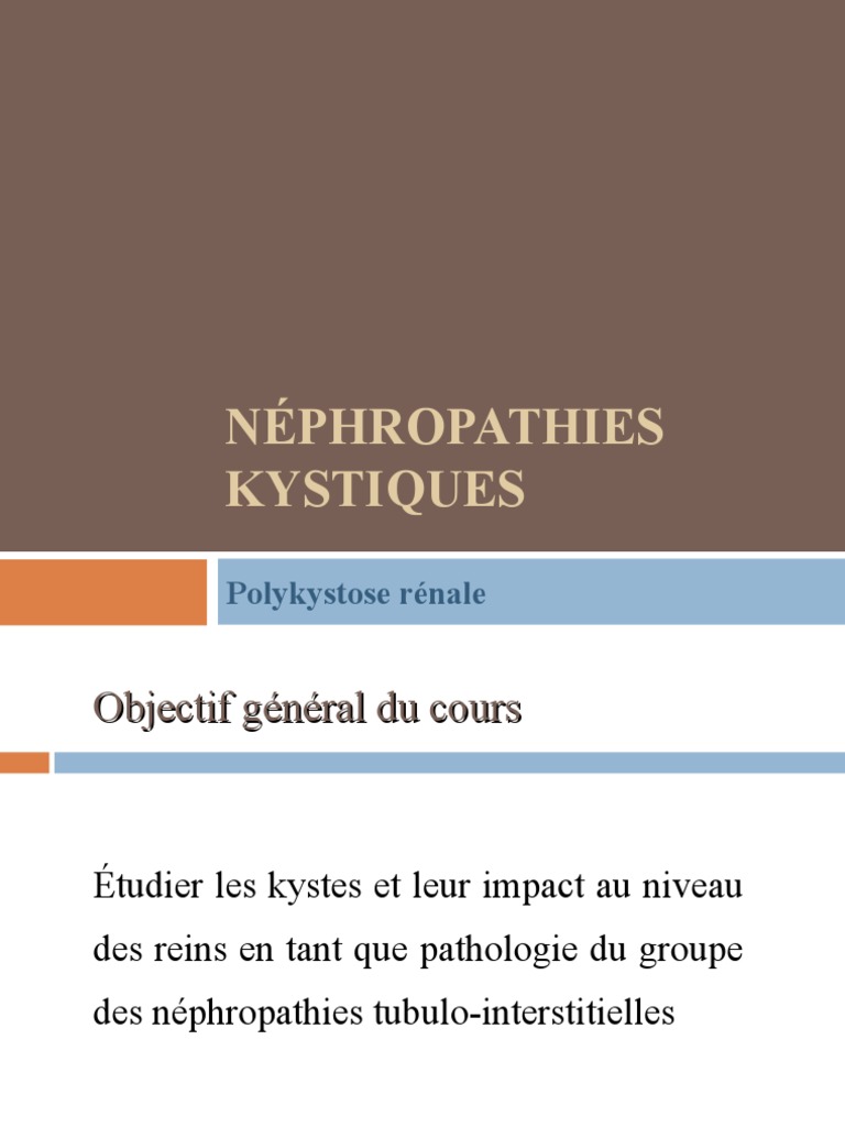 12 Polykystose N1 | PDF | Rein | Épidémiologie