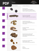 Dog and Cat Faecal Scoring Guide | PDF | Feces