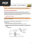 SVT TD - L1 - Le Reflexe Conditionnel | PDF | Cerveau | Salive