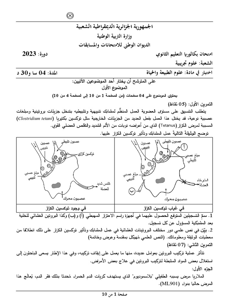 Bac2023 Sciences Se | PDF