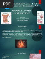 Colectomia y Reseccion Intestinal | PDF