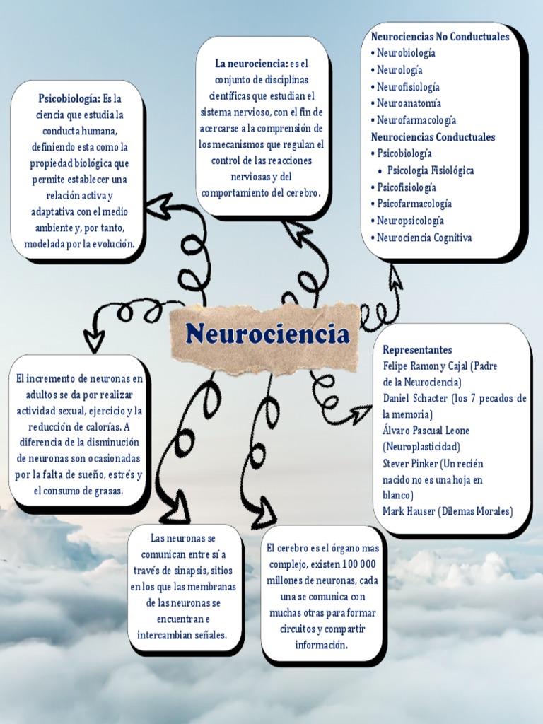 Neurociencia - Mapa Mental 1. | PDF | Neurociencia | Neurona
