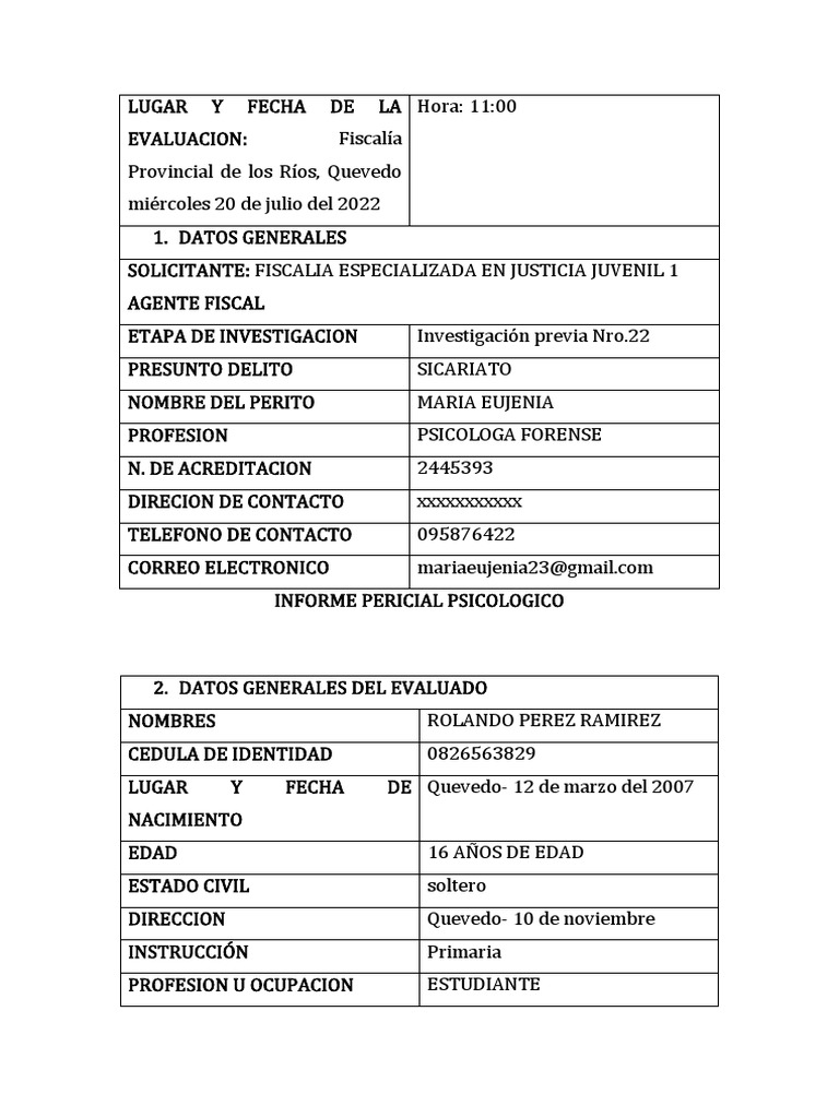 Informe Pericial | PDF | Sicología