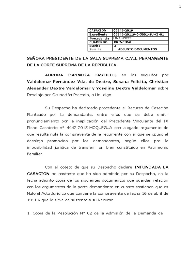 Adjunto Documentos | PDF | Justicia | Crimen y violencia