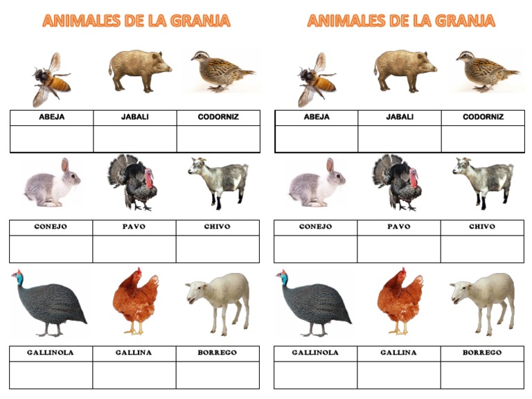 Animales de La Granja | PDF