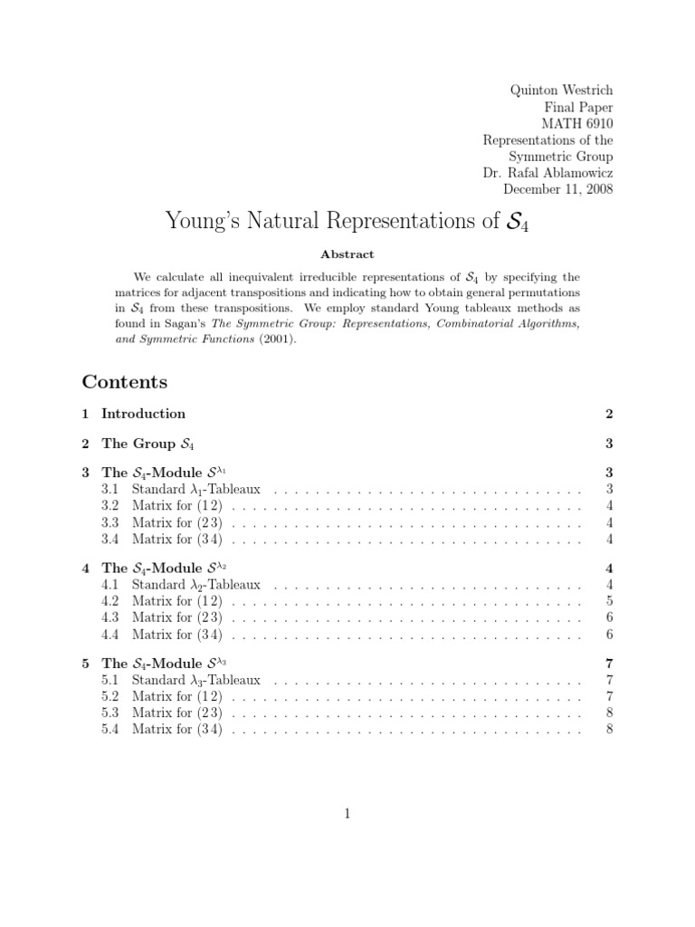 Young's Natural Representation of S - 4 | PDF | Representation Theory ...