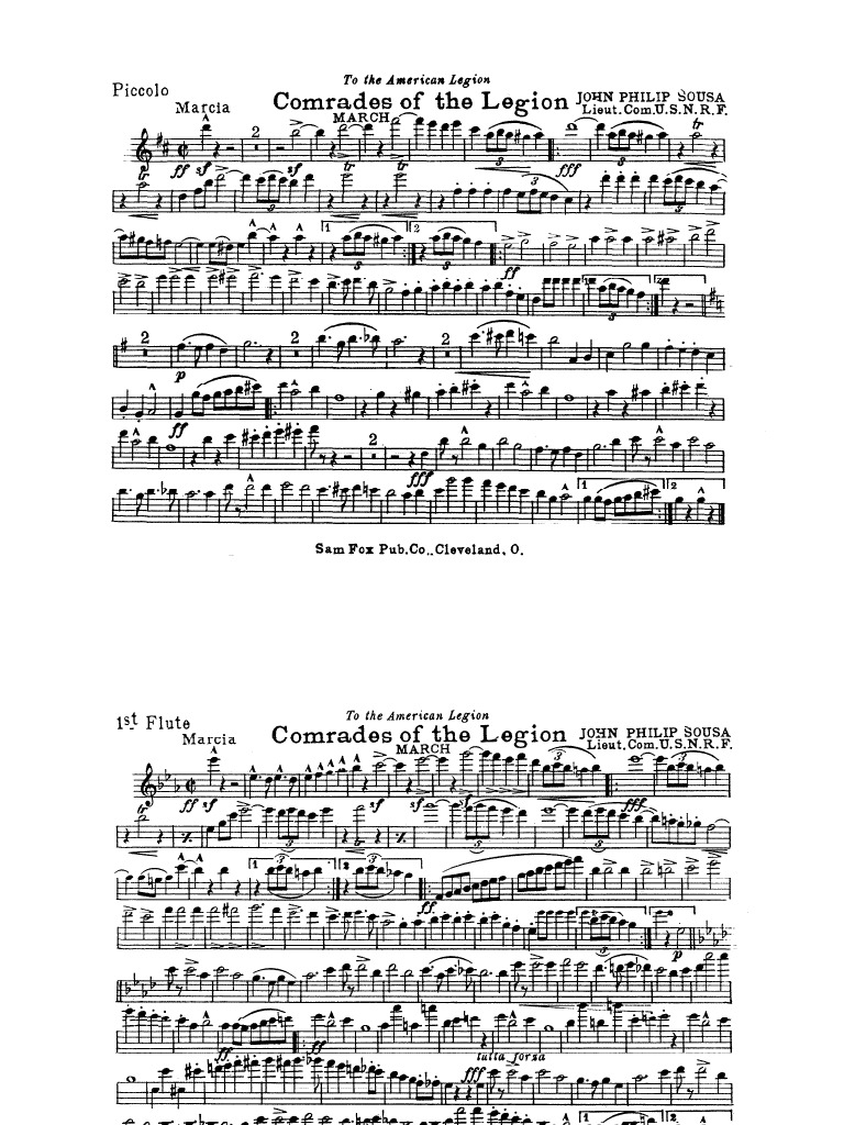 Comrades Legion SOUSA | PDF