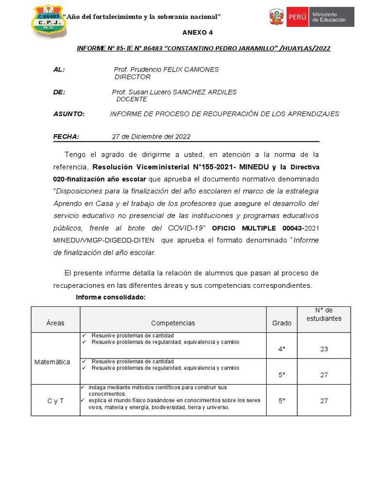 Informe de Proceso de Recuperacion | PDF